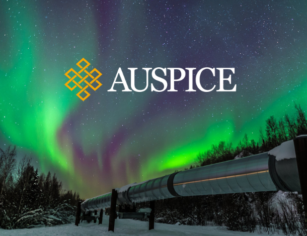 Auspice : de 250 000 $ à 1 G $ et plus - CGE-EMB